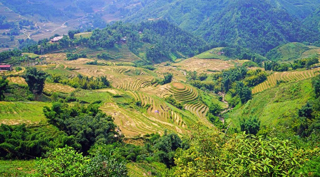 Top 10 mooiste rijstvelden in Vietnam + beste seizoen | rondreisinvietnam