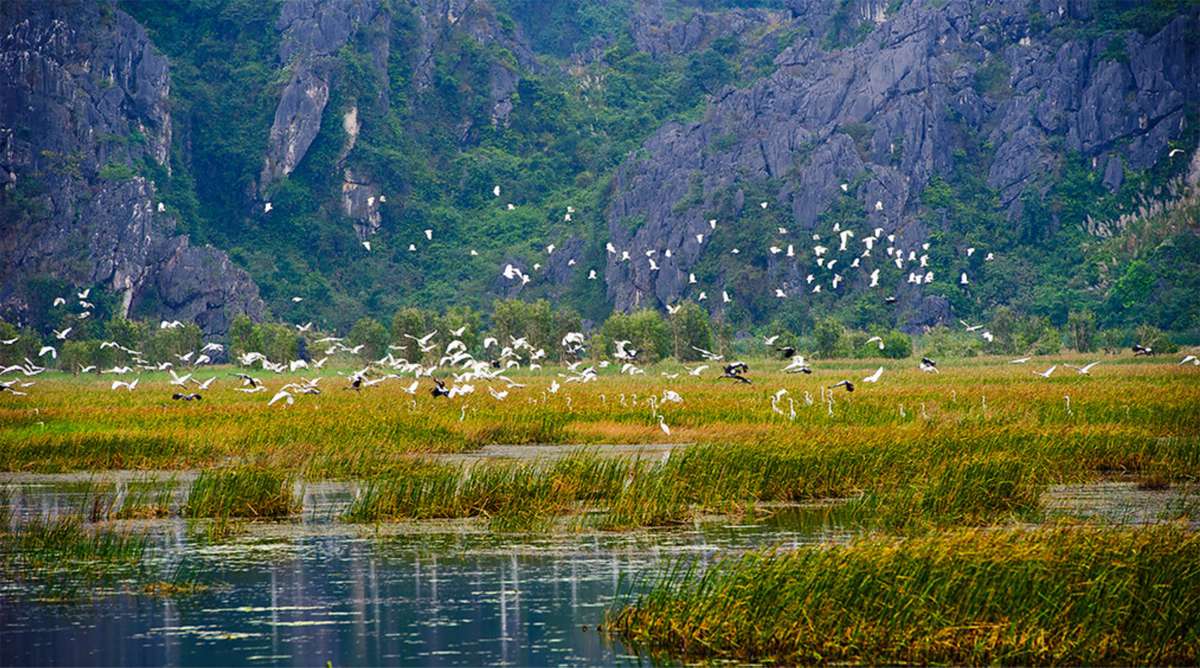 Van Long Nature Reserve boottocht in Ninh Binh | rondreisinvietnam