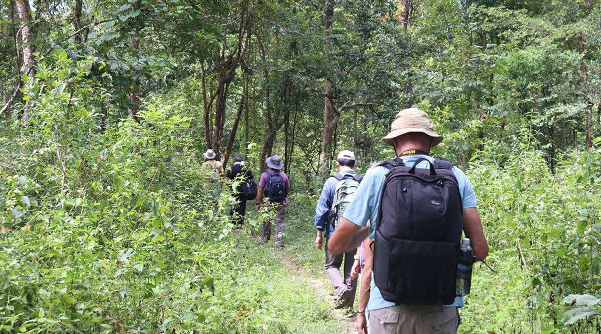 Olifanten spotten in Vietnam in het Yok Don Nationaal Park | LocalVietnam